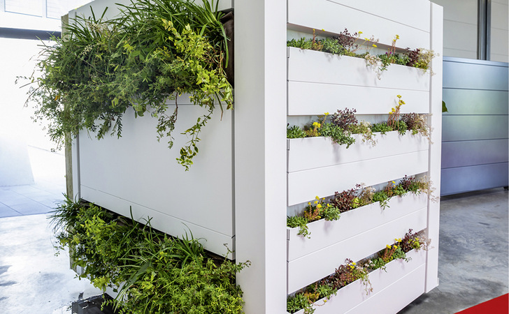 Domico - Es grünt so grün an der beschichteten Fassade